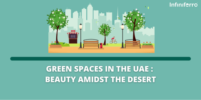 Green Spaces in the UAE: Beauty Amidst the Desert - Infiniferro